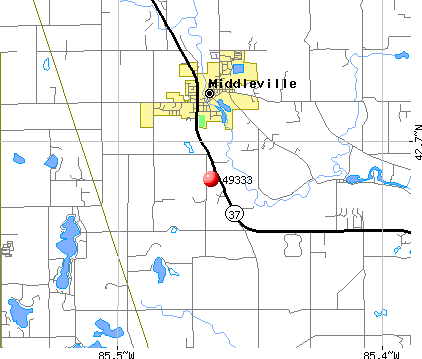 49333 Zip Code (Middleville, Michigan) Profile - homes, apartments ...
