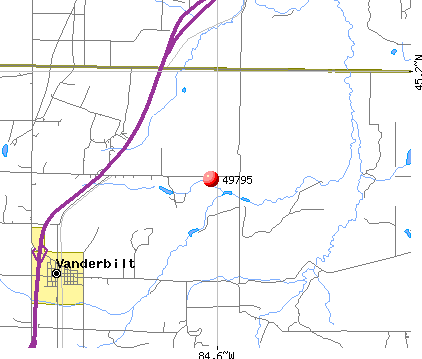 49795 Zip Code (Vanderbilt, Michigan) Profile - homes, apartments ...