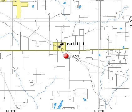 62893 Zip Code (Walnut Hill, Illinois) Profile - homes, apartments ...