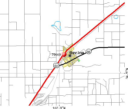 79009 Zip Code (Bovina, Texas) Profile - homes, apartments, schools ...