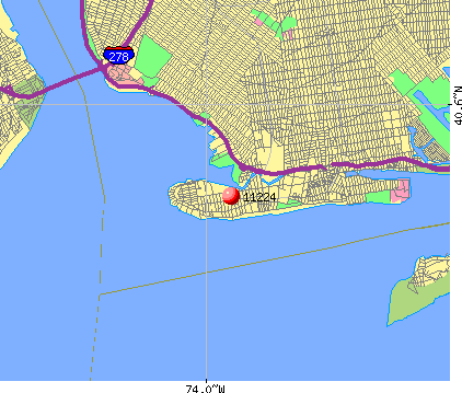 11224 Zip Code (New York, New York) Profile - homes, apartments ...