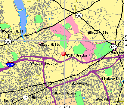 11568 Zip Code (Old Westbury, New York) Profile - homes, apartments ...