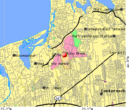 11790 Zip Code (Stony Brook, New York) Profile - homes, apartments ...
