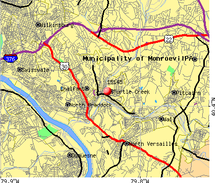 15145 Zip Code (Turtle Creek, Pennsylvania) Profile - homes, apartments ...