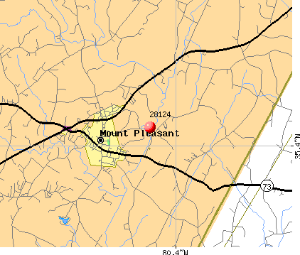 28124 Zip Code (Mount Pleasant, North Carolina) Profile - homes ...