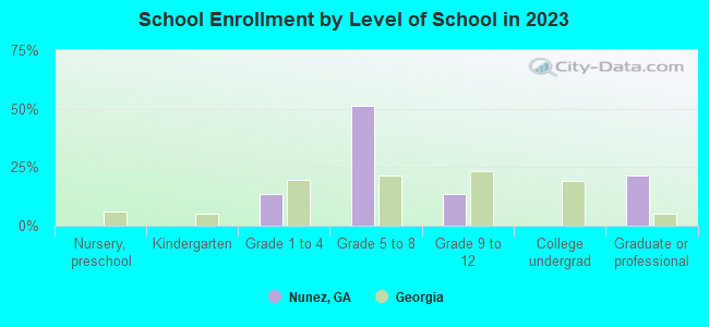Nunez, Georgia (GA 30448) profile: population, maps, real estate ...