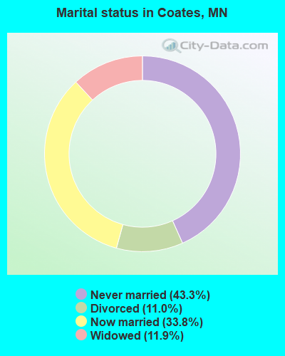 Coates, Minnesota (MN 55068) profile: population, maps, real estate ...