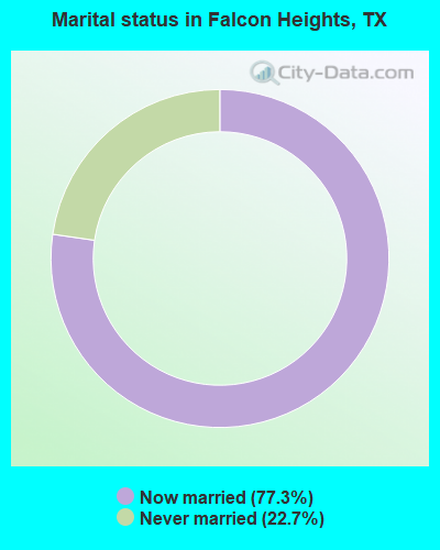 Falcon Heights, Texas (TX 78584) profile: population, maps, real estate ...