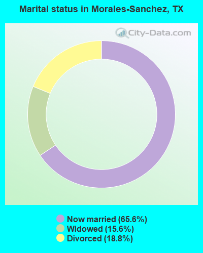 Morales-Sanchez, Texas (TX 78076) profile: population, maps, real ...