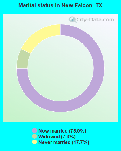 New Falcon, Texas (TX 78076) profile: population, maps, real estate ...
