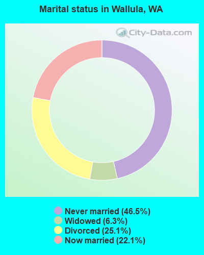 Wallula, Washington (WA 99363) profile: population, maps, real estate ...