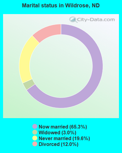 Wildrose, North Dakota (ND 58795) profile: population, maps, real ...