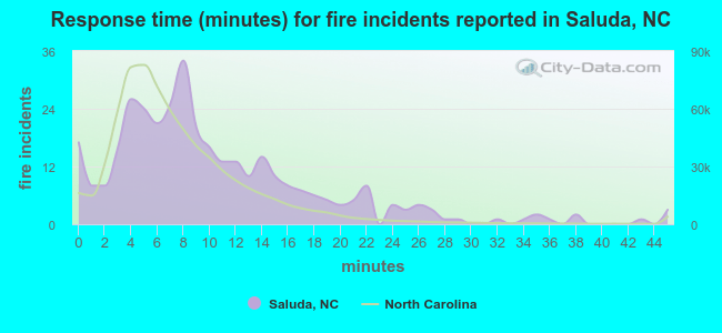 Saluda: Fire Incidents in 2006, North Carolina (NC)