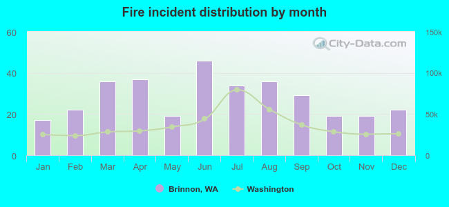 Brinnon: Fire Incidents in 2006, Washington (WA)