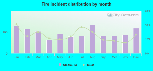 Cibolo: Fire Incidents in 2006, Texas (TX)