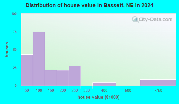 Bassett, Nebraska (NE 68714) profile: population, maps, real estate ...