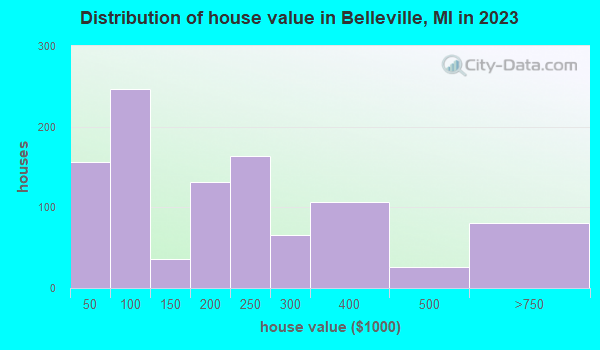 Belleville, Michigan (MI 48111) profile: population, maps, real estate, averages, homes ...