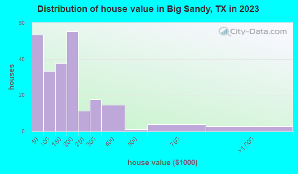 Big Sandy, Texas (TX 75755) profile: population, maps, real estate ...