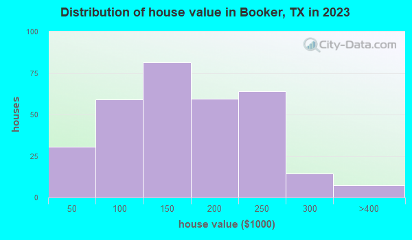 Booker, Texas (TX 79005) profile: population, maps, real estate ...