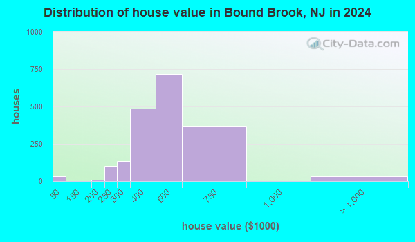 Bound Brook, New Jersey (NJ 08805) profile: population, maps, real ...