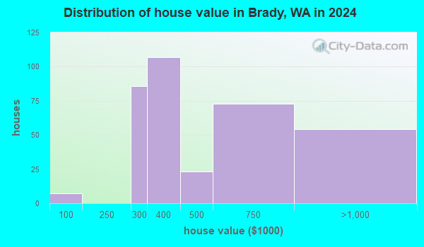 Brady, Washington (WA 98563) profile: population, maps, real estate ...