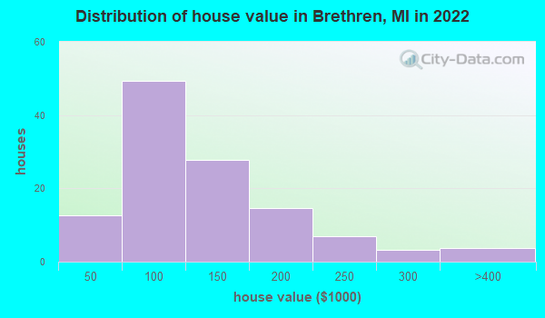 Brethren, Michigan (MI 49619) profile: population, maps, real estate ...