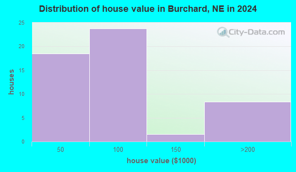 Burchard, Nebraska (NE 68323) profile: population, maps, real estate ...