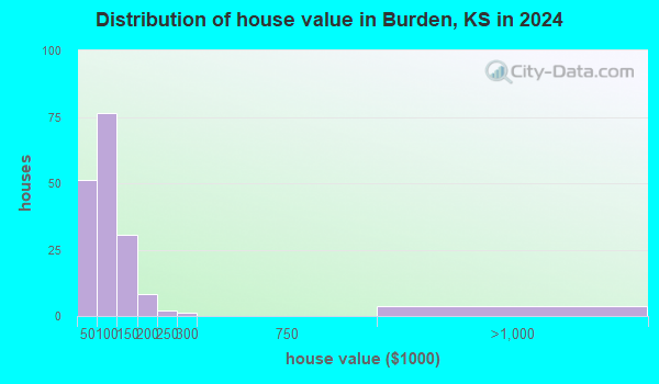 Burden, Kansas (KS 67019) profile: population, maps, real estate ...
