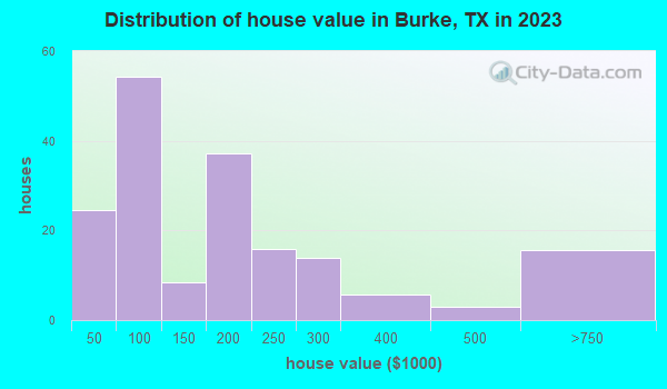 Burke, Texas (TX 75941) profile: population, maps, real estate ...