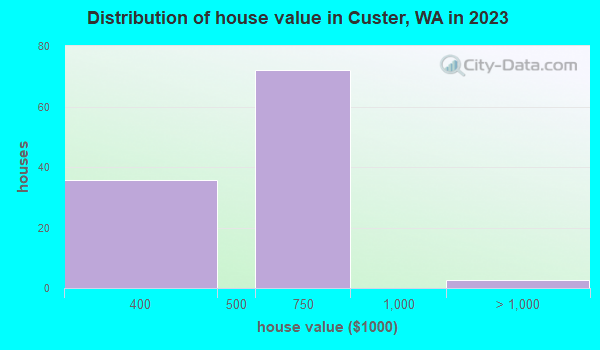 Custer, Washington (WA 98240) profile: population, maps, real estate ...