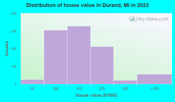 Durand, Michigan (MI 48429) profile: population, maps, real estate ...