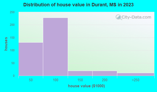 Durant, Mississippi (MS 39063) profile: population, maps, real estate ...