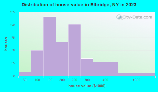 Elbridge, New York (NY 13060) profile: population, maps, real estate ...