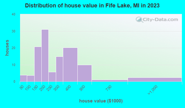Fife Lake, Michigan (MI 49633) profile: population, maps, real estate ...