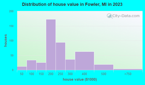 Fowler, Michigan (MI 48835) profile: population, maps, real estate ...
