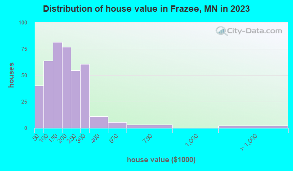 Frazee, Minnesota (MN 56544) profile: population, maps, real estate ...