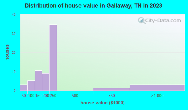 Gallaway, Tennessee (TN 38036) profile: population, maps, real estate ...