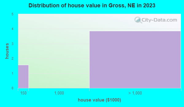 Gross, Nebraska (NE 68719) profile: population, maps, real estate ...