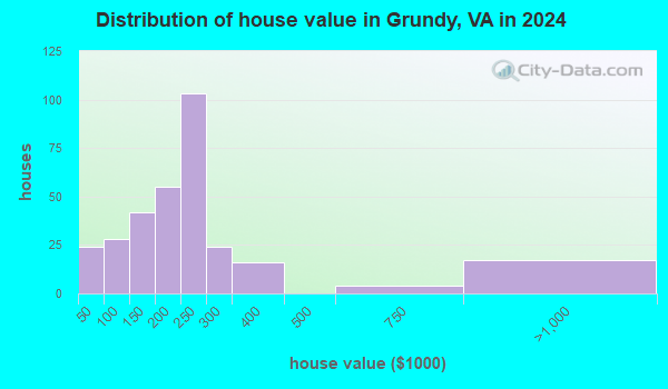 Grundy, Virginia (VA 24614) profile: population, maps, real estate ...
