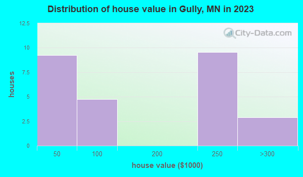 Gully, Minnesota (MN 56646) profile: population, maps, real estate ...