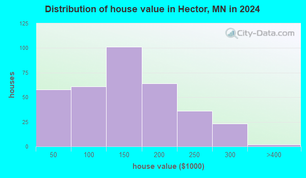 Hector, Minnesota (MN 55342) profile: population, maps, real estate ...