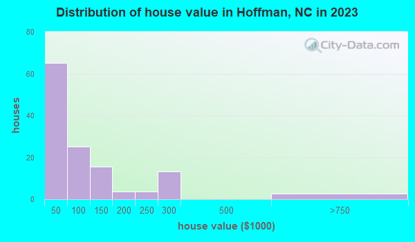 Hoffman, North Carolina (NC 28347) profile: population, maps, real ...