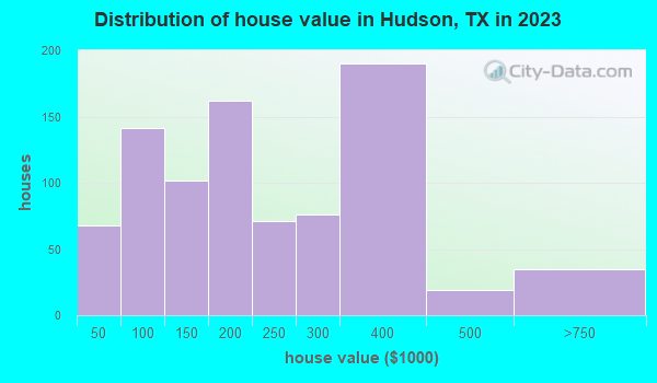 Hudson, Texas (TX 75904) profile: population, maps, real estate ...
