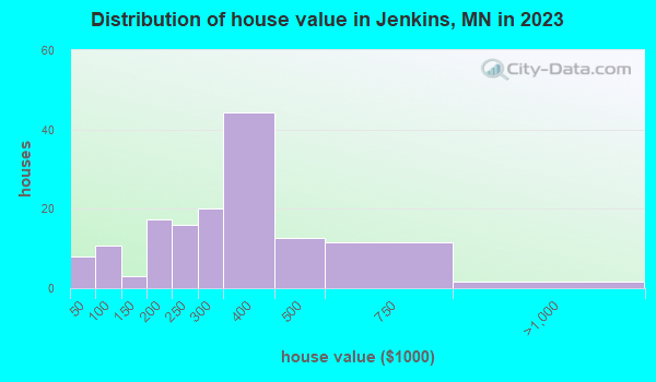 Jenkins, Minnesota (MN 56456) profile: population, maps, real estate ...
