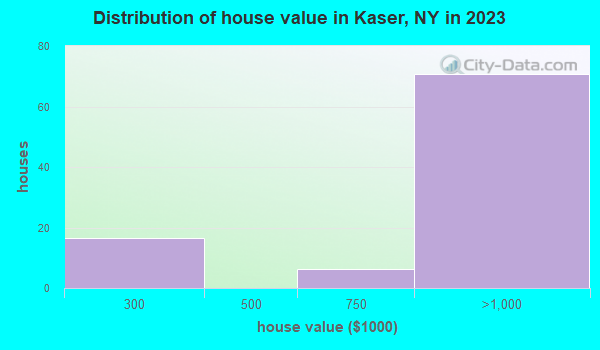 Kaser, New York (NY 10952) profile: population, maps, real estate ...