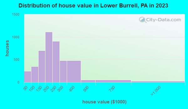 Lower Burrell, Pennsylvania (PA 15068) profile: population, maps, real ...