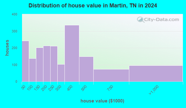 Martin, Tennessee (TN 38237) profile: population, maps, real estate ...