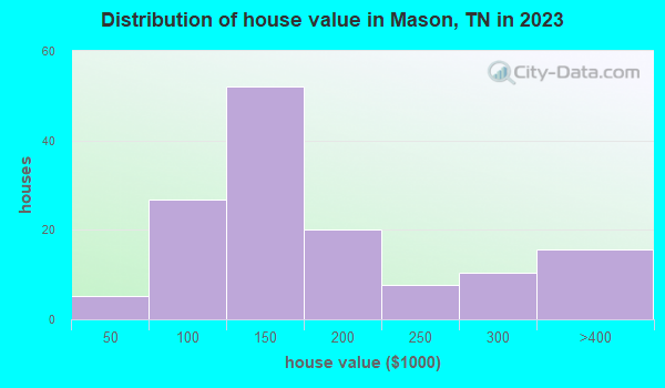 Mason, Tennessee (TN 38049) profile: population, maps, real estate ...