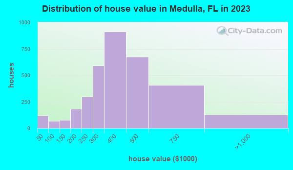 Medulla, Florida (FL 33811) profile: population, maps, real estate ...