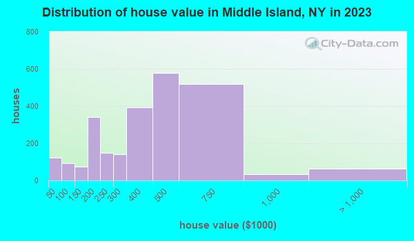 Middle Island, New York (NY 11953) profile: population, maps, real ...